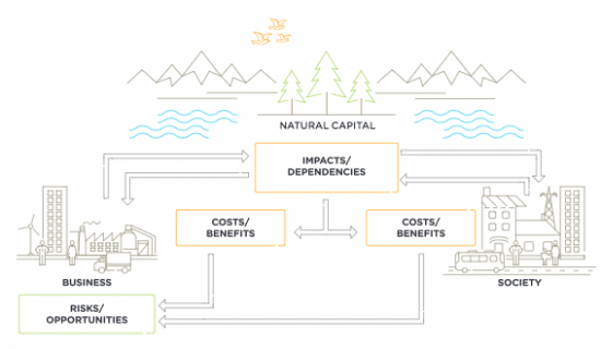 Il Natural capital protocol per la valorizzazione e inclusione del ...